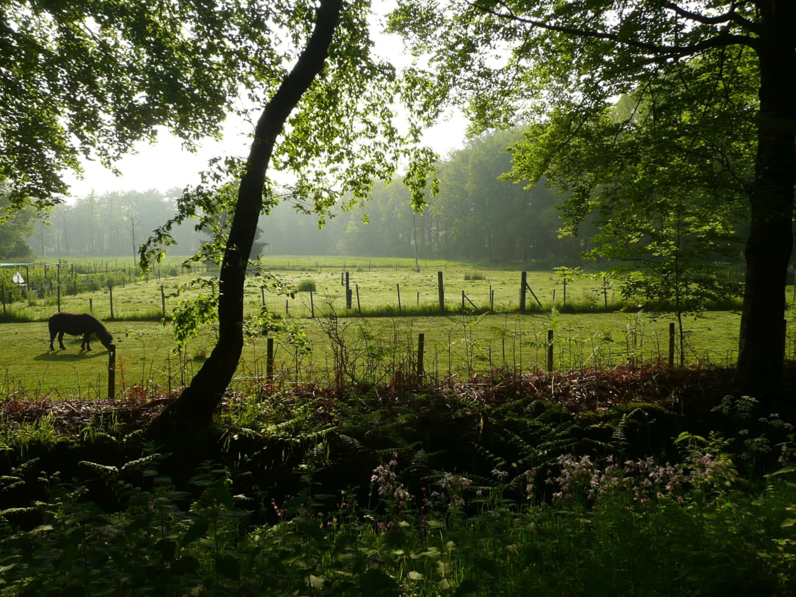 Rondje Nieuwkerk - Naturentuin Goirle - Anneke Scholte