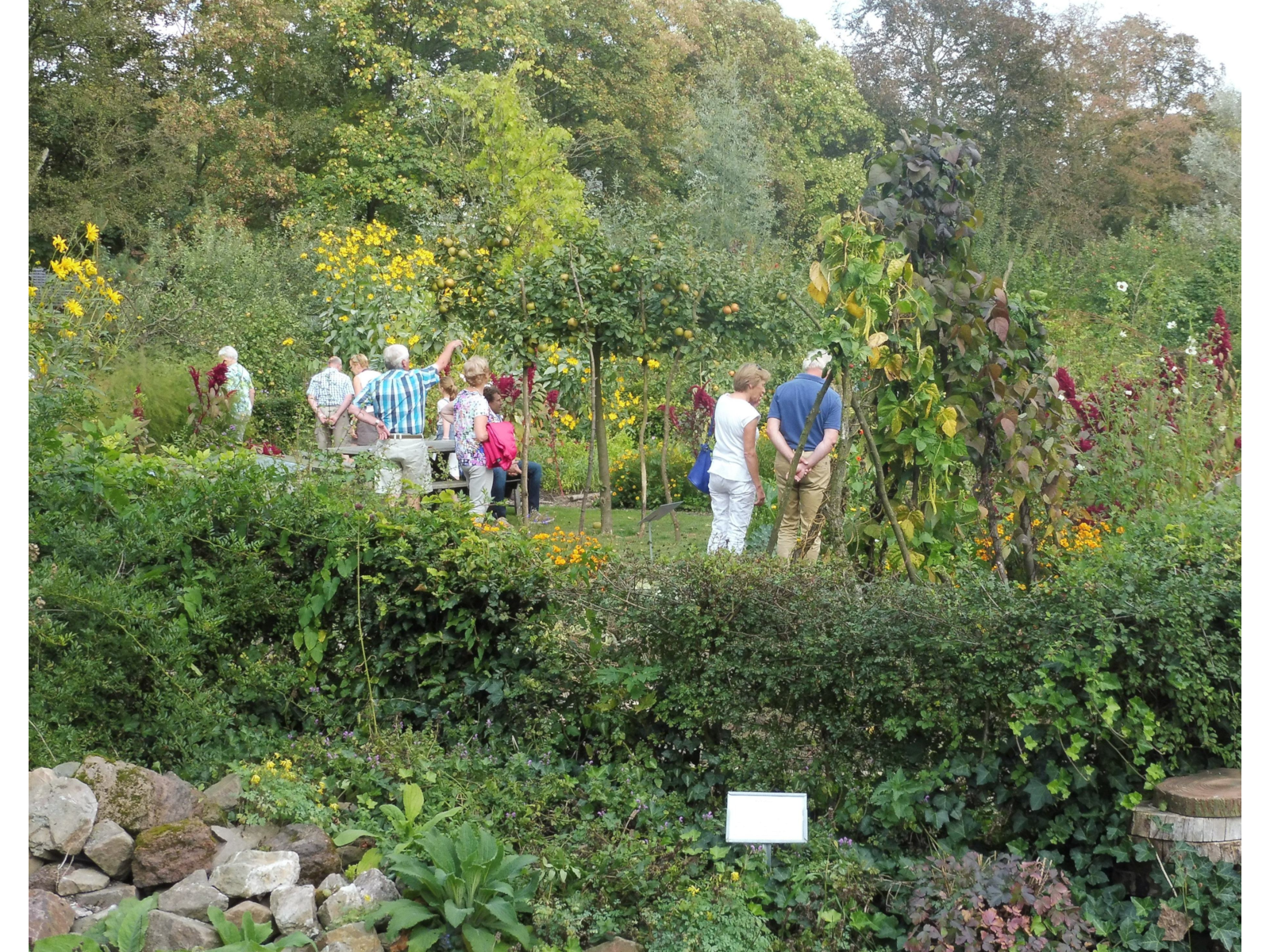 Nazomertuindag op 23 september - Naturentuin Goirle - Anneke Scholte