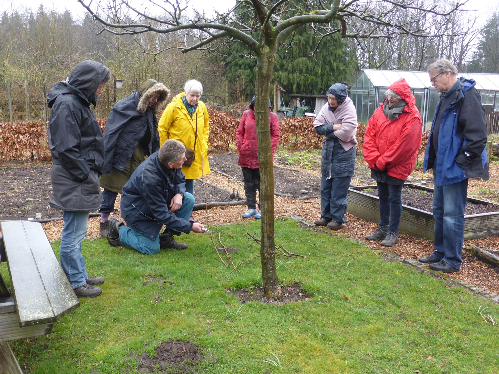 Snoei-uitleg zomersnoei - Naturentuin Goirle - Anneke Scholte